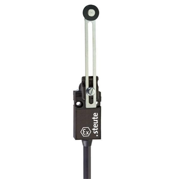 Ex Position switch Ex 14 DS 1m IP65 (1NC/1NO) II 2G Ex d IIC T6 - Marin ...